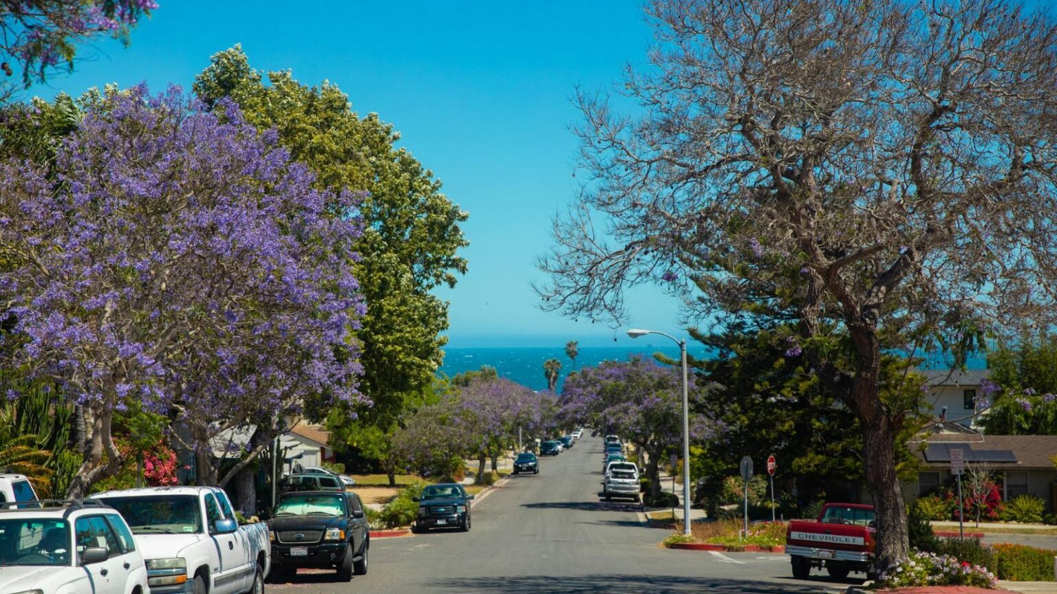 Hur blir man mäklare i USA? - Studera utomlands - Blueberry College ...